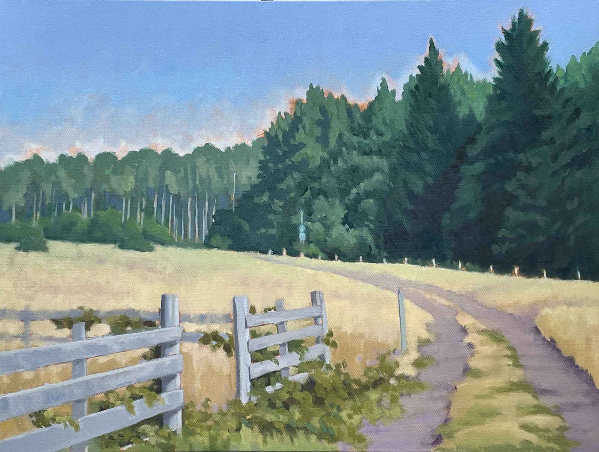 Field of Dreams | Ann Painter